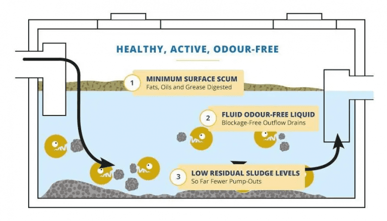 What is Septic Sludge? | The Cause & How You Can Manage It!