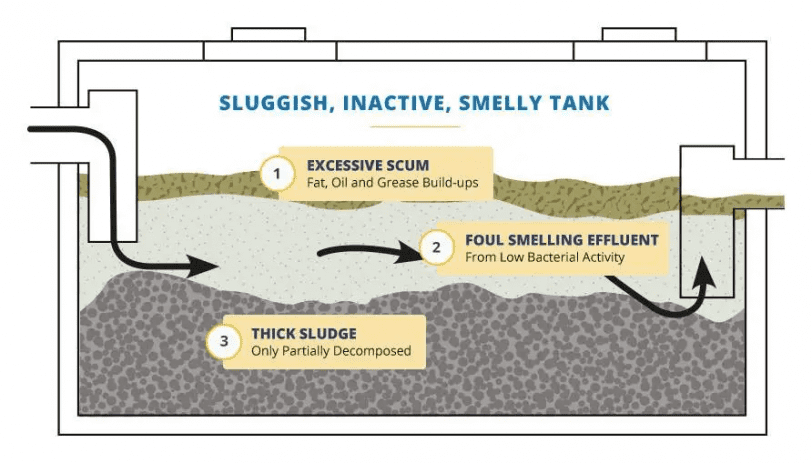 Septic Systems | What Are They & How Do They Work?
