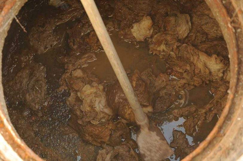 Why You May Have A Septic Tank Crust | Is It Good Or Bad?