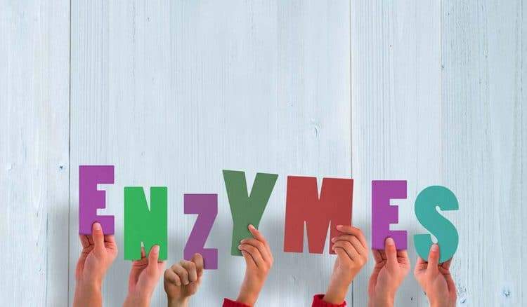 What is a Septic Tank Enzyme? | Muck Munchers