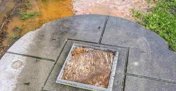 What to Do if Your Septic Tank Overflows | Muck Munchers